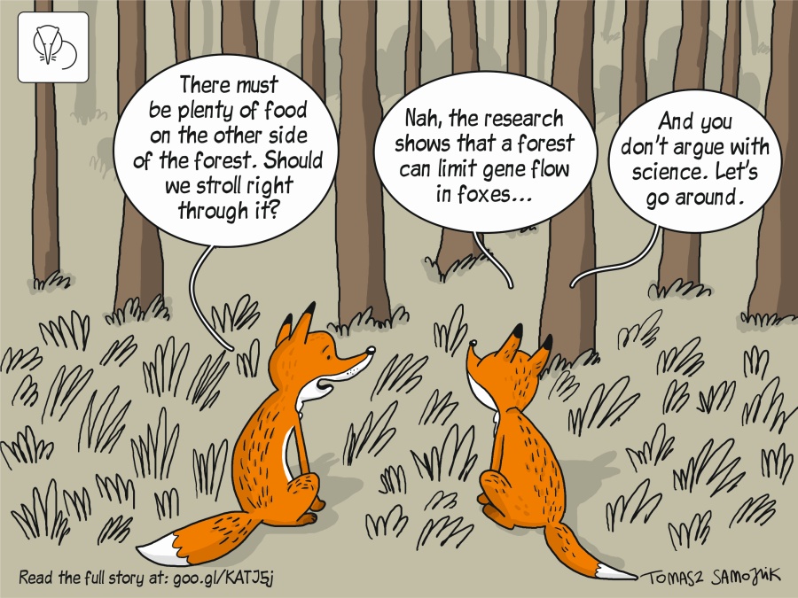 Our new science cartoon on structure of genetic differentiation in red ...