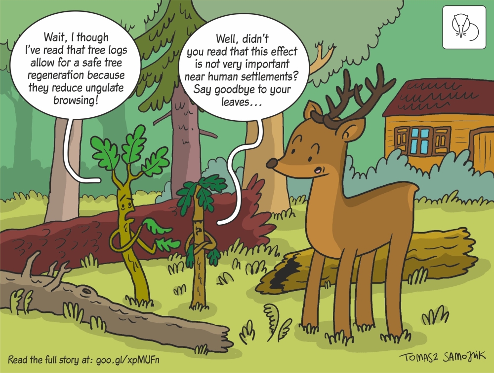Science comics | Mammal Research Institute