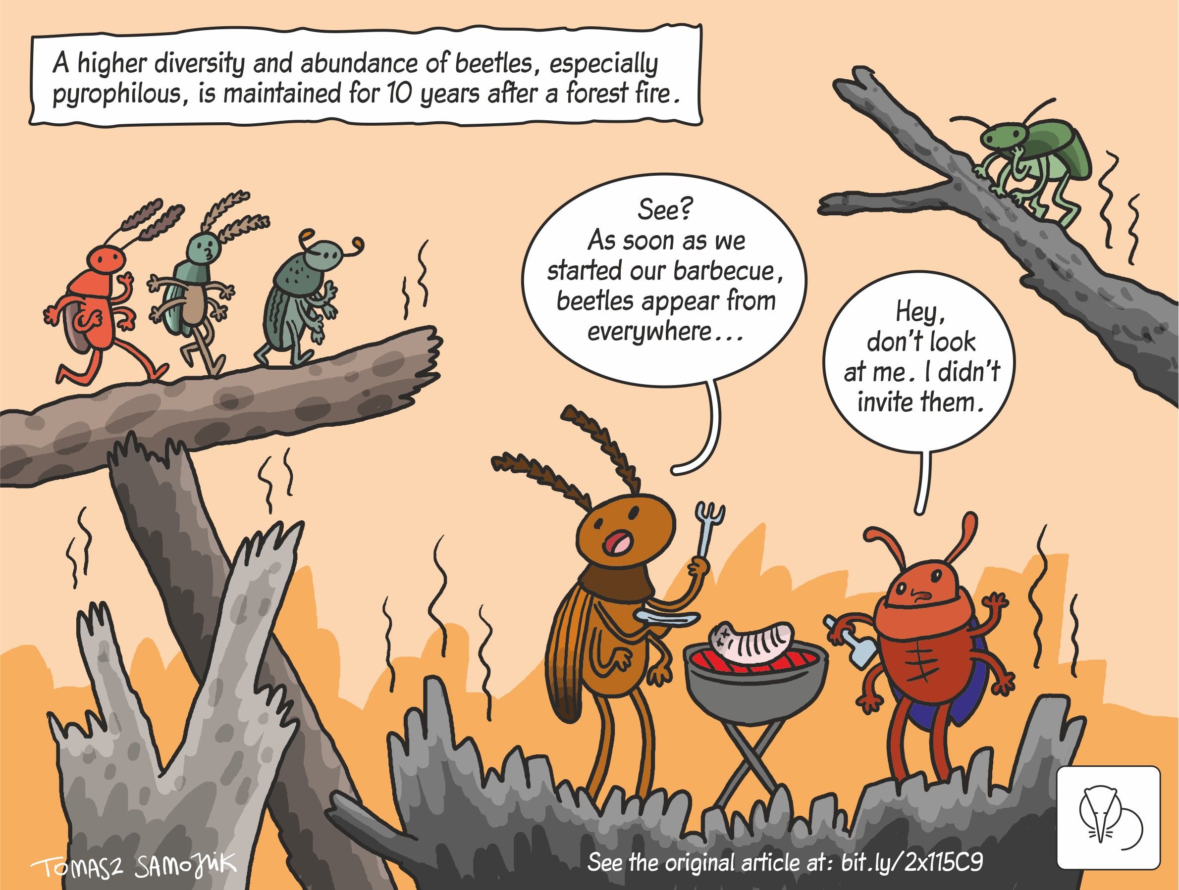 08.04.2020 - Science cartoon on post-fire beetle succession - Mammal ...